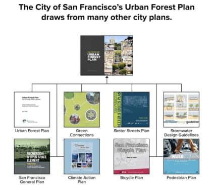 Introduction to Planning for Urban Forests
