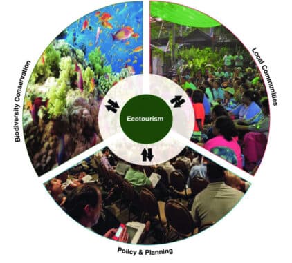 Ecotourism and Recreation in Nearby Forests